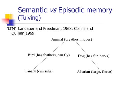 Ppt Memory Powerpoint Presentation Free Download Id3340438