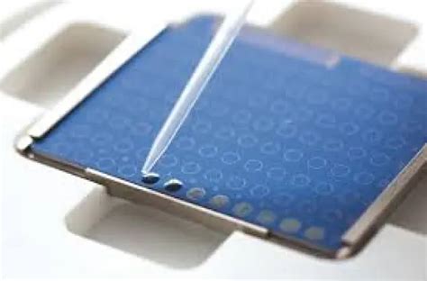 Bd Maldi Tof Biotyper™ Sirius Bd Microbiología