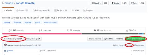 New Tasmota Firmware For Sonoff 6 4 X And Home Assistant Discovery Dew It And Web Services