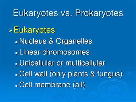 2 Cell Types Prokaryotes Eukaryotes Ppt Download