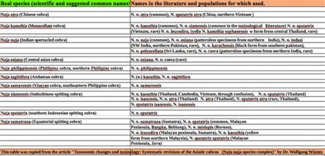 Types Of Cobras The Secret List