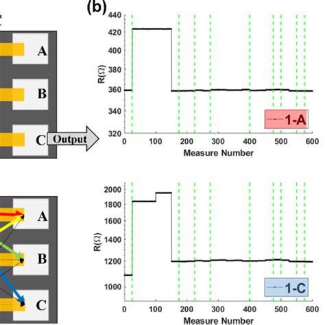 a schematic representation of the measurement protocol on