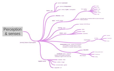 Perception And Senses Coggle Diagram