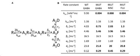 Kinetic Model Simulations For Macroscopic Currents Analysis A