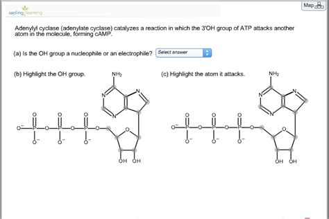 Solved Adenylyl Cyclase Adenylate Cyclase Catalyzes A