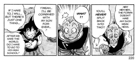 If Goku Had Fused With Gohan Would The Fusion Be Chi Chis Husband Or