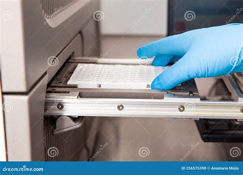 Scientist Loading Samples To A Rt Pcr Thermal Cycler At The Laboratory Real Time Polymerase