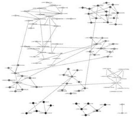 grouping hierarchy and cohesion between communities or multicapitals