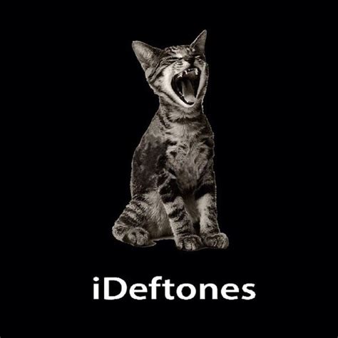 Deftones Cat Poster