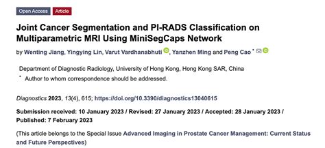 Diagnostics Joint Cancer Segmentation And Pi Rads Classification On