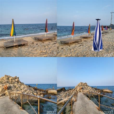 동해 숙소 강릉 해안도로 사천해변 사천진 해수욕장 강릉 사천 오토 캠핑장 글램핑장 카라반 펜션 추천 네이버 블로그