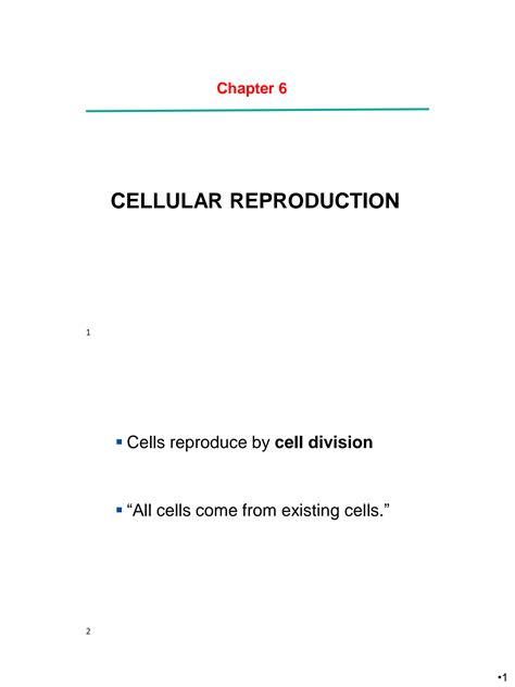 SOLUTION Chapter 6 Cellular Reproduction Studypool