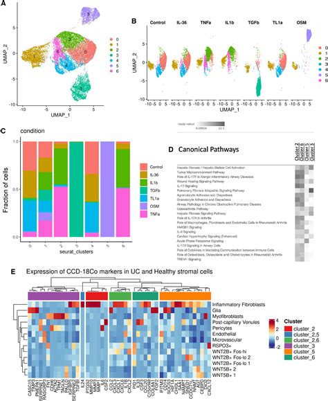 integrating inflammatory biomarker analysis and artificial intelligence