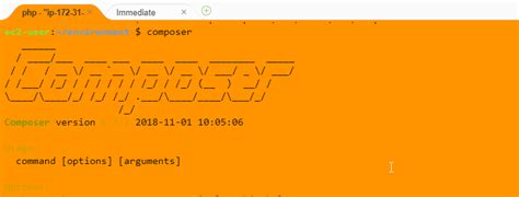 Create Asset Management In Laravel 57 Part 0 Install Laravel On Aws