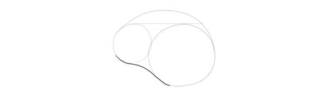 How To Draw A Mouse Envato Tuts