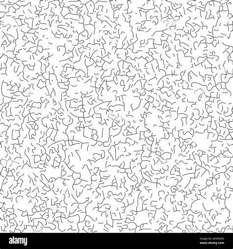 Texture Of Black Tangled Geometric Lines On White Background Abstract Messy Curves Intersecting