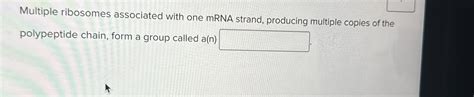 Solved Multiple Ribosomes Associated With One Mrna Strand