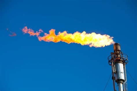 Hydrocarbon Revival Trump Will Reshape Global Energy Game Policy Circle