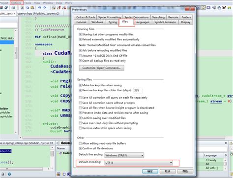 Source Insight Source Insight程序代码编辑器 Source Insight中文网站