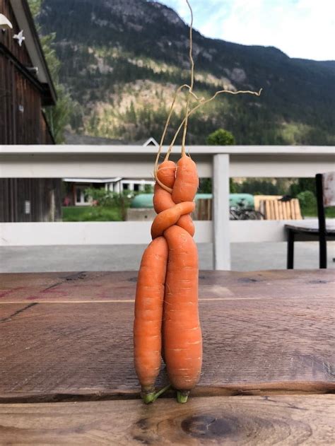 To Enjoy Food More Treat Every Course Like Intercourse