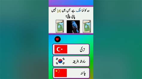 Quiz Quizgames Quizetime Quizchallenge Quizquestions