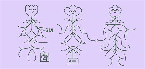 Qasim S Ferozpurwala On Linkedin Aaves Lens Protocol Raises 15m To Build The Decentralized