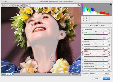 Seven Reasons To Use The Camera Raw Filter In Adobe Photoshop CC Planet Photoshop