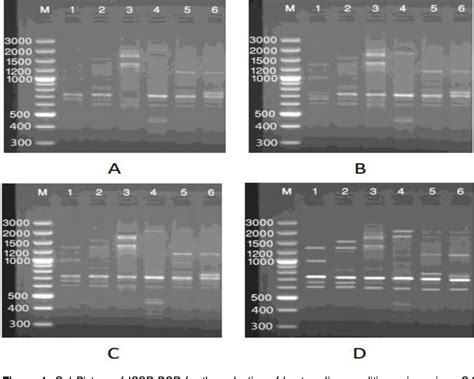 Figure 1 From Optimization Of Pcr Protocol For Issr Marker Based Genetic Diversity Assessment Of