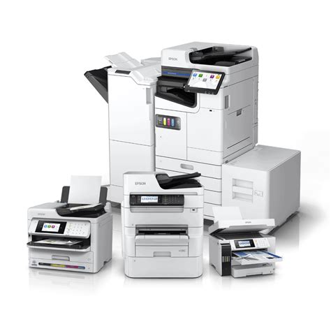 Comprehensive Eco Printing Services For Businesses