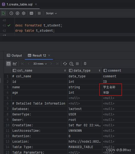 Apache Hive（二）fieldschemas Null Csdn博客