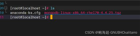 Linux：mongodb数据库源码包安装（4425版本）mongodb源码下载 Csdn博客
