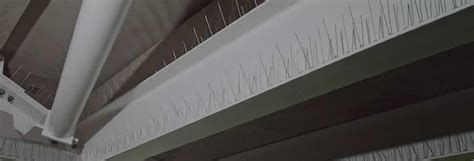 Optical Bird Scaring Device Rentokil Bird Control