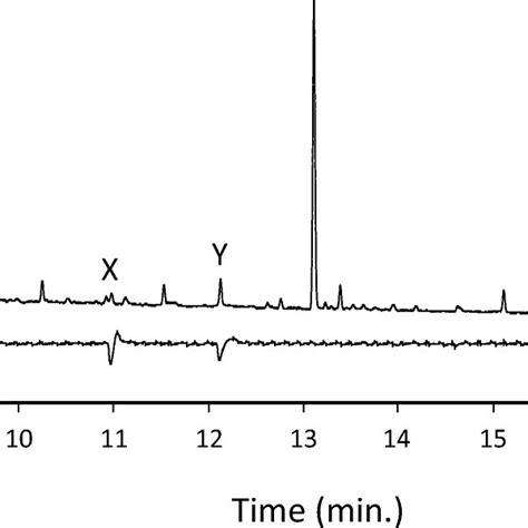 Coupled Gas Chromatographic Electroantennographic Gc Ead Analysis Of Download Scientific