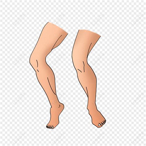 손으로 그린 근육 다리 일러스트 클립 아트그 남자만화 Png 일러스트 무료 다운로드 Lovepik