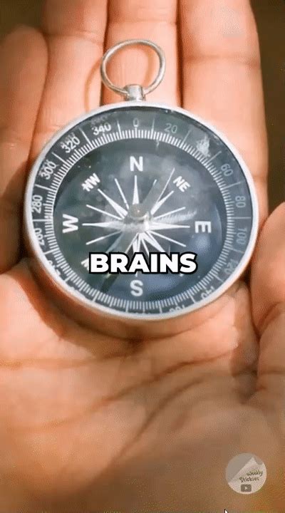 New Digital Weekly Stickies