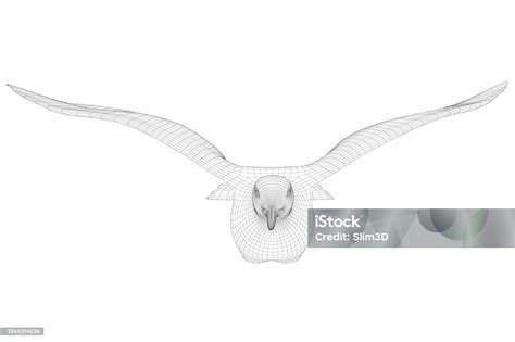 흰색 배경에 격리 된 비행 조류 와이어 프레임 전면 보기입니다 3d 벡터 일러스트레이션 날기에 대한 스톡 벡터 아트 및 기타 이미지 Istock