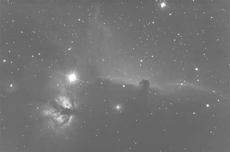 손님 갤러리 말머리성운