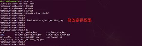 Xshell Ssh连接报错socket Error Event 32 Error 10053 蘇大锤 博客园