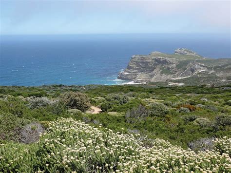 Mediterranean Climate Landscapes European Forest Institute Efi The