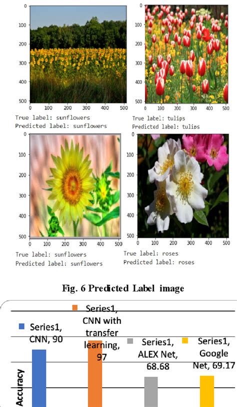 Figure 6 From Flower Perception Using Convolution Neural Networks Based Escalation Of Transfer
