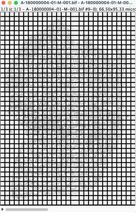 Ventana Bif Grid Of Zero Pixel Values At Lowest Resolution Levels