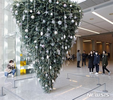 거꾸로 트리부터 공연까지대구미술관 연말 이벤트 풍성