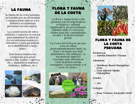 Flora De La Costa Peruana 768x1024