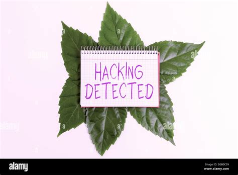 Conceptual Caption Hacking Detected Internet Concept Activities That