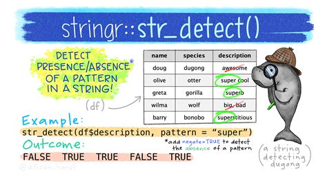 allison horst r packages and functions