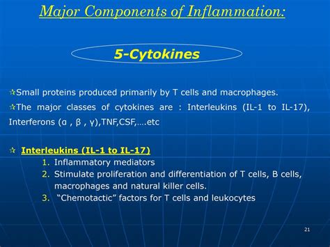 Inflammation Dr Wael H Mansy Md Assistant Professor Ppt Download