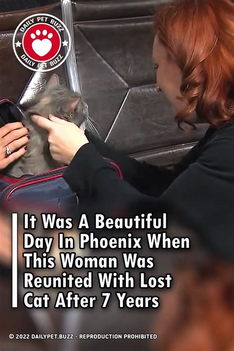 Pin on Feel Good Stories
