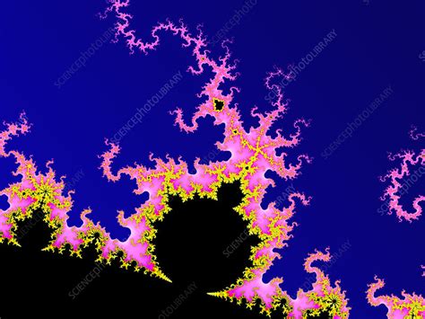 Mandelbrot Fractal Stock Image A925 0387 Science Photo Library