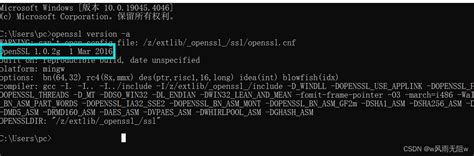 Windows下采用 Nginx配置websocket支持wss流程nginx Wss Csdn博客