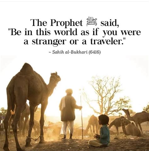 Muhammad Hammad Posted On Linkedin